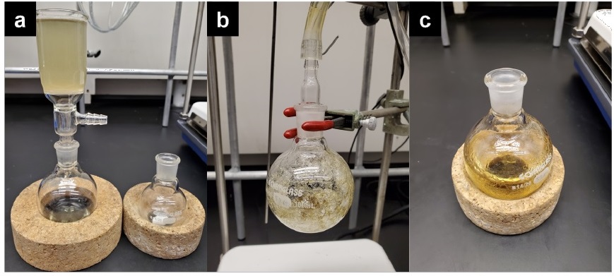 Organic Syntheses Procedure