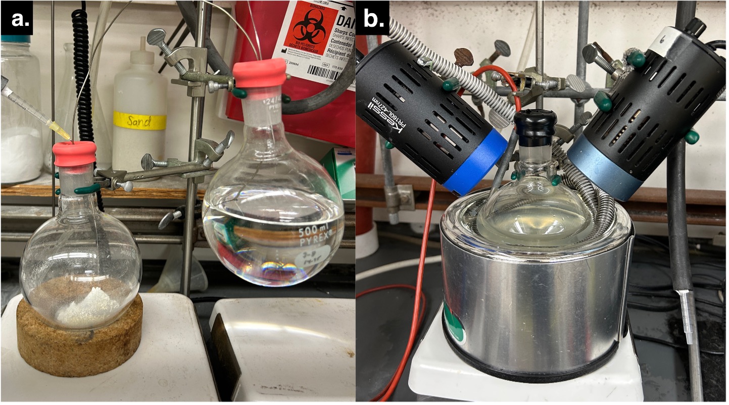 Organic Syntheses Procedure