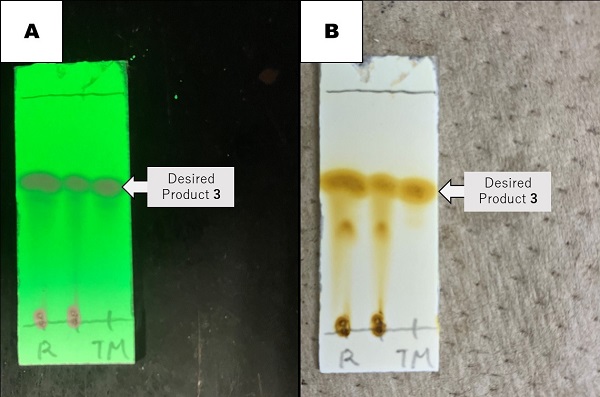 Organic Syntheses Procedure