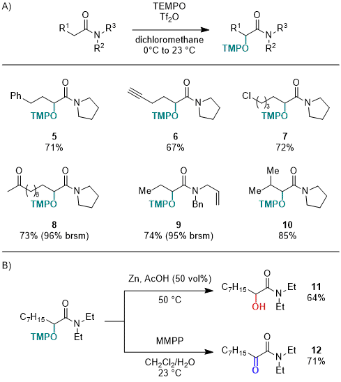 Organic Syntheses Procedure