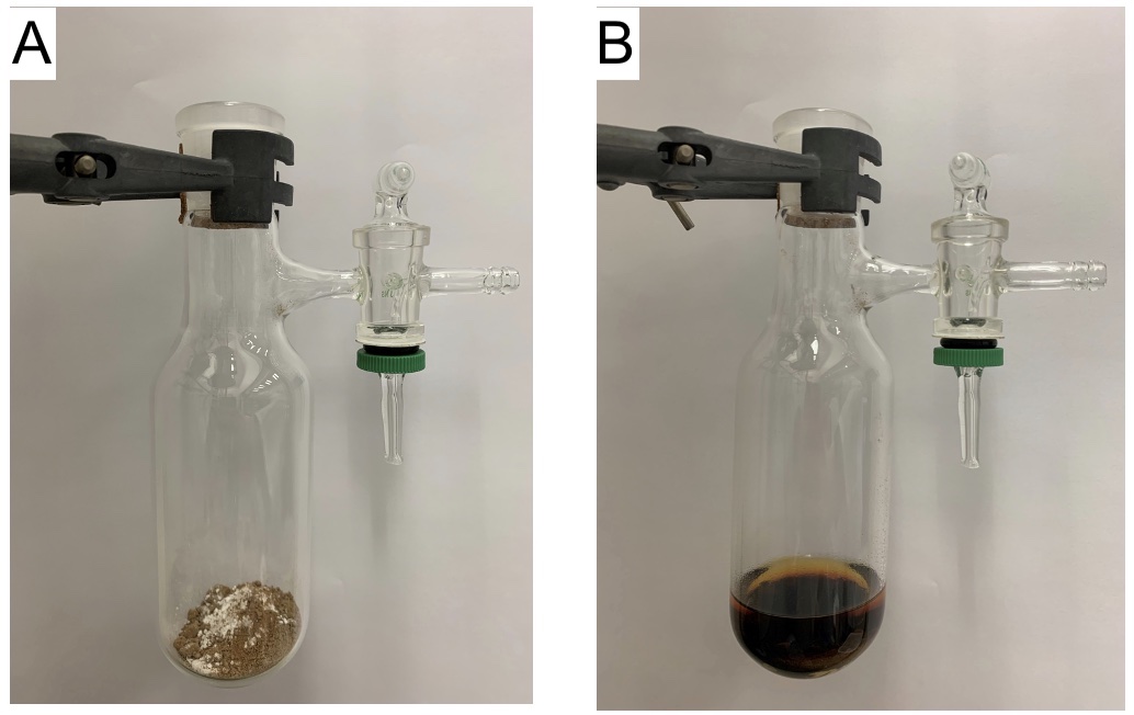 Organic Syntheses Procedure