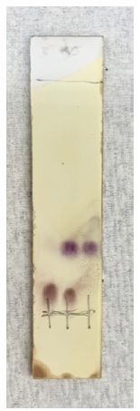 Organic Syntheses Procedure
