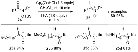 Organic Syntheses Procedure