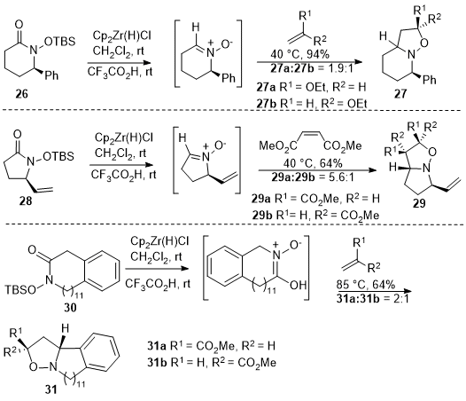 Organic Syntheses Procedure