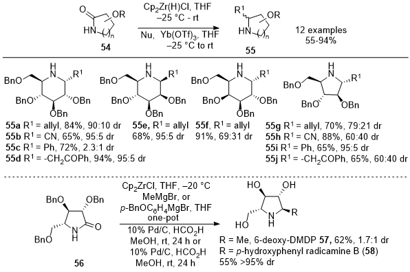 Organic Syntheses Procedure