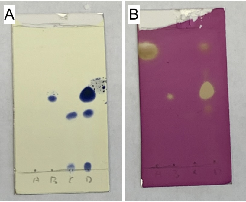 Organic Syntheses Procedure