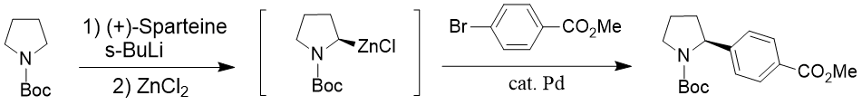 Organic Syntheses Procedure
