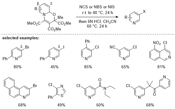 Organic Syntheses Procedure