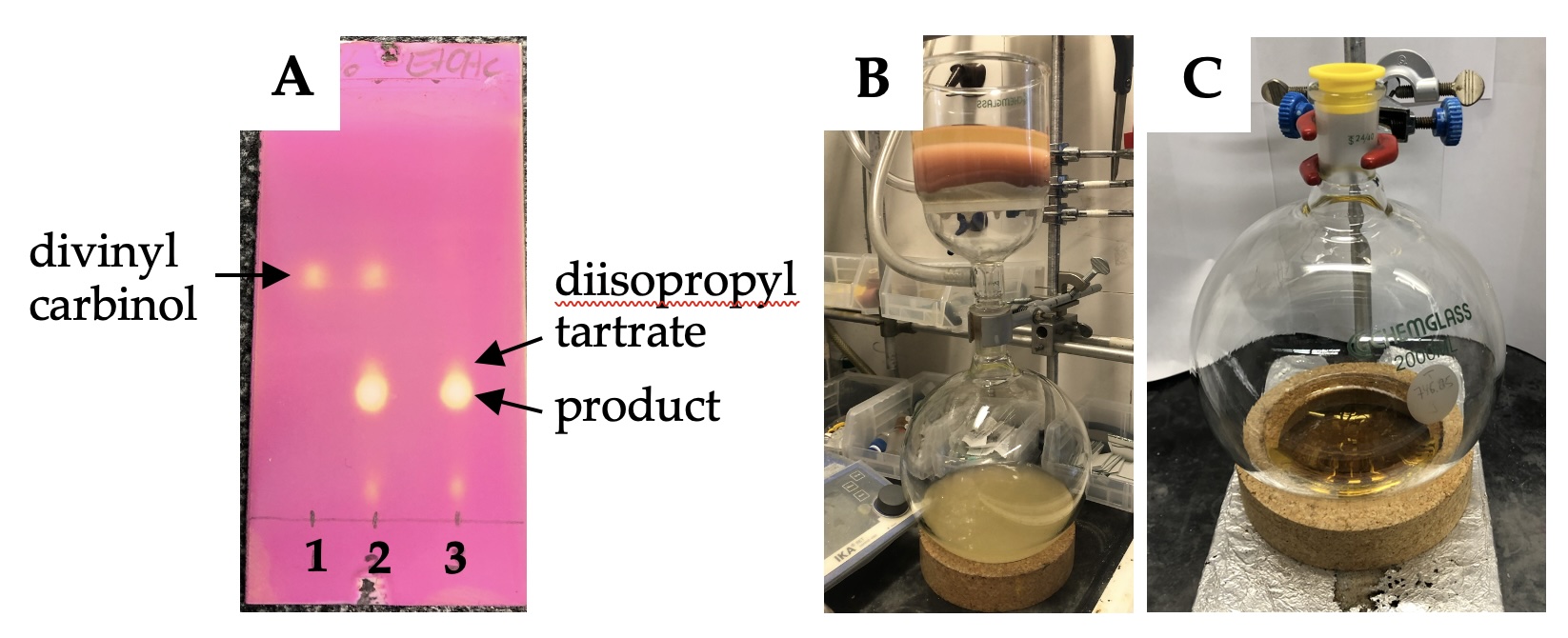 Organic Syntheses Procedure