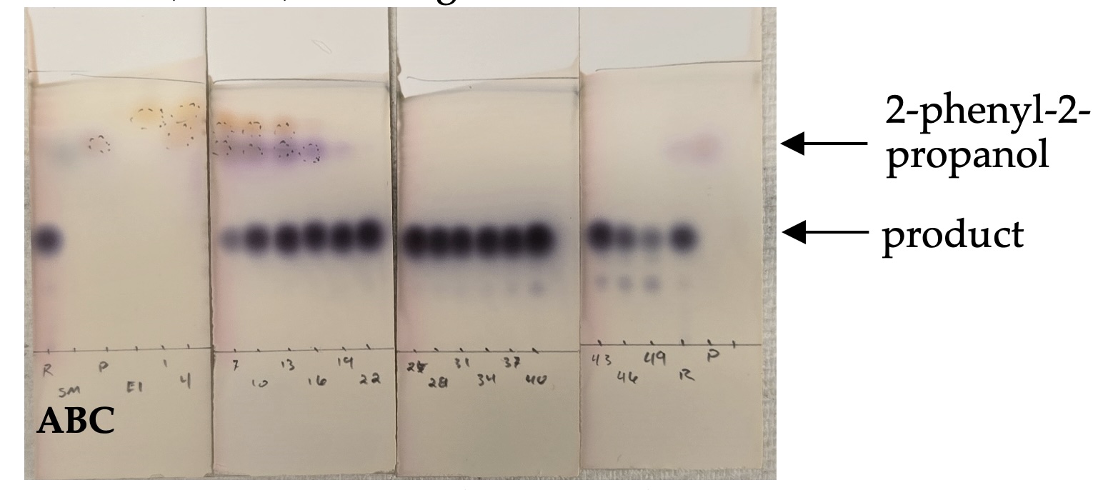 Organic Syntheses Procedure