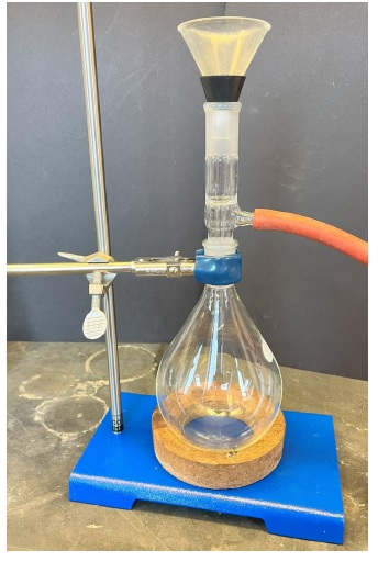 Organic Syntheses Procedure