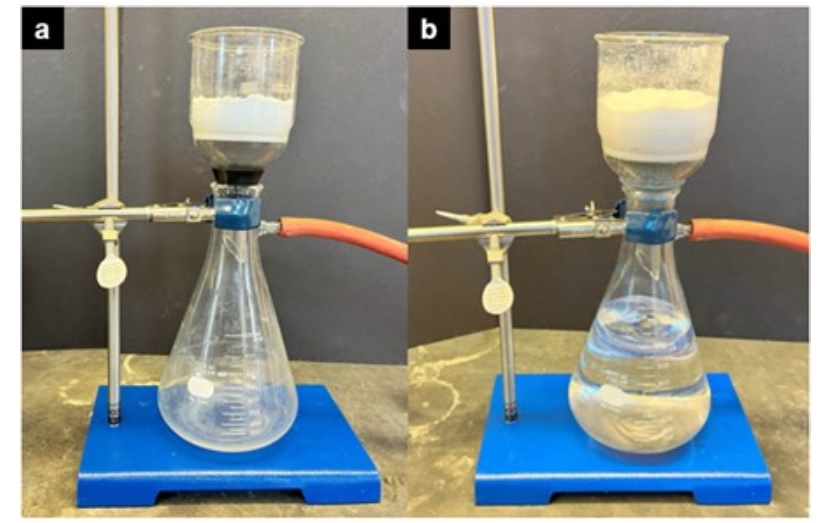 Organic Syntheses Procedure