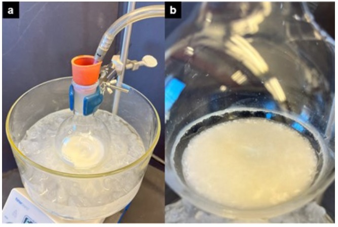 Organic Syntheses Procedure