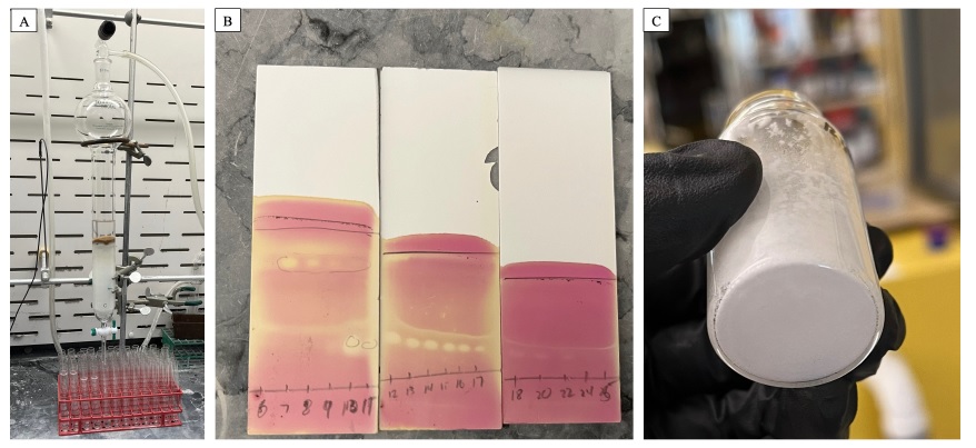Organic Syntheses Procedure