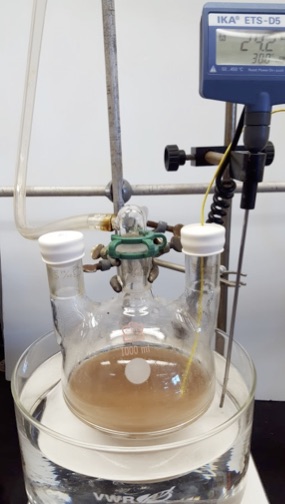 Organic Syntheses Procedure