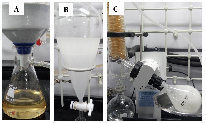 Organic Syntheses Procedure