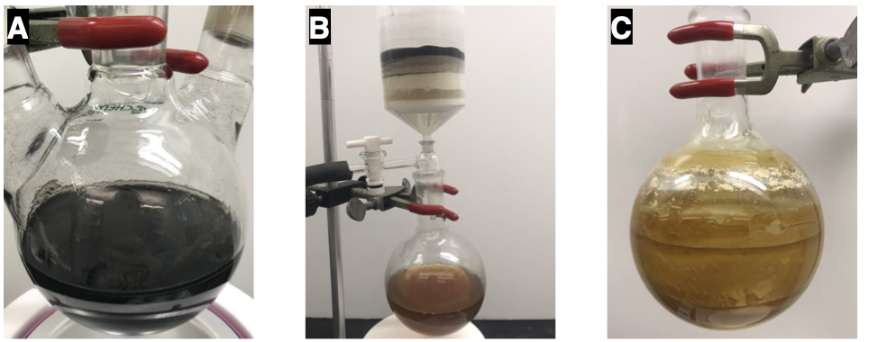 Organic Syntheses Procedure