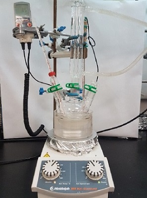 Organic Syntheses Procedure