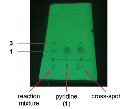 Organic Syntheses Procedure