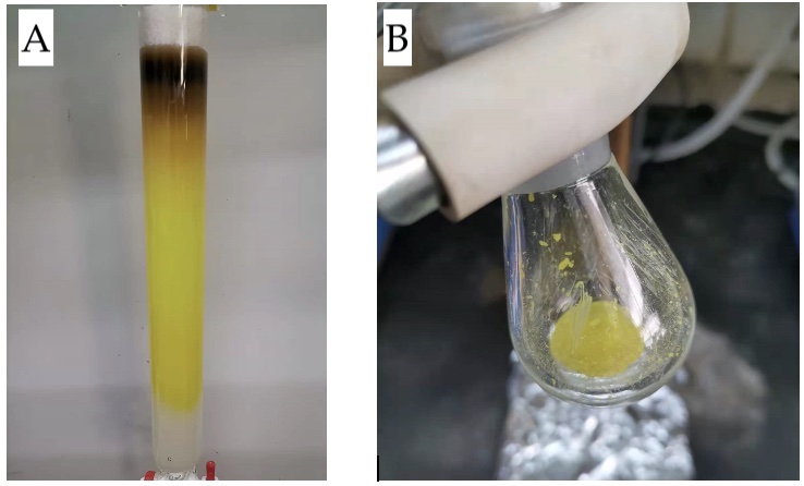 Organic Syntheses Procedure