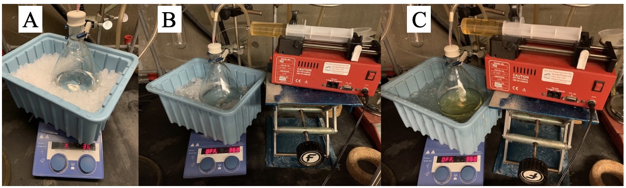 Organic Syntheses Procedure