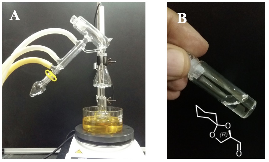 Organic Syntheses Procedure