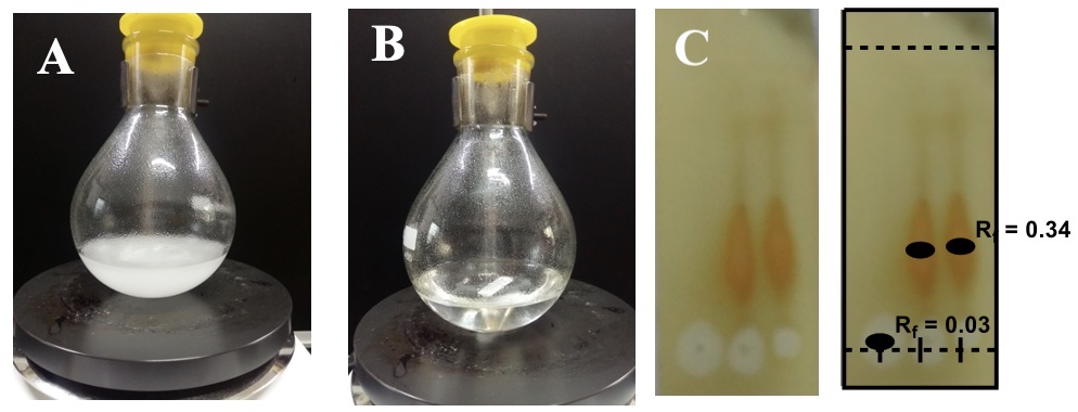 Organic Syntheses Procedure